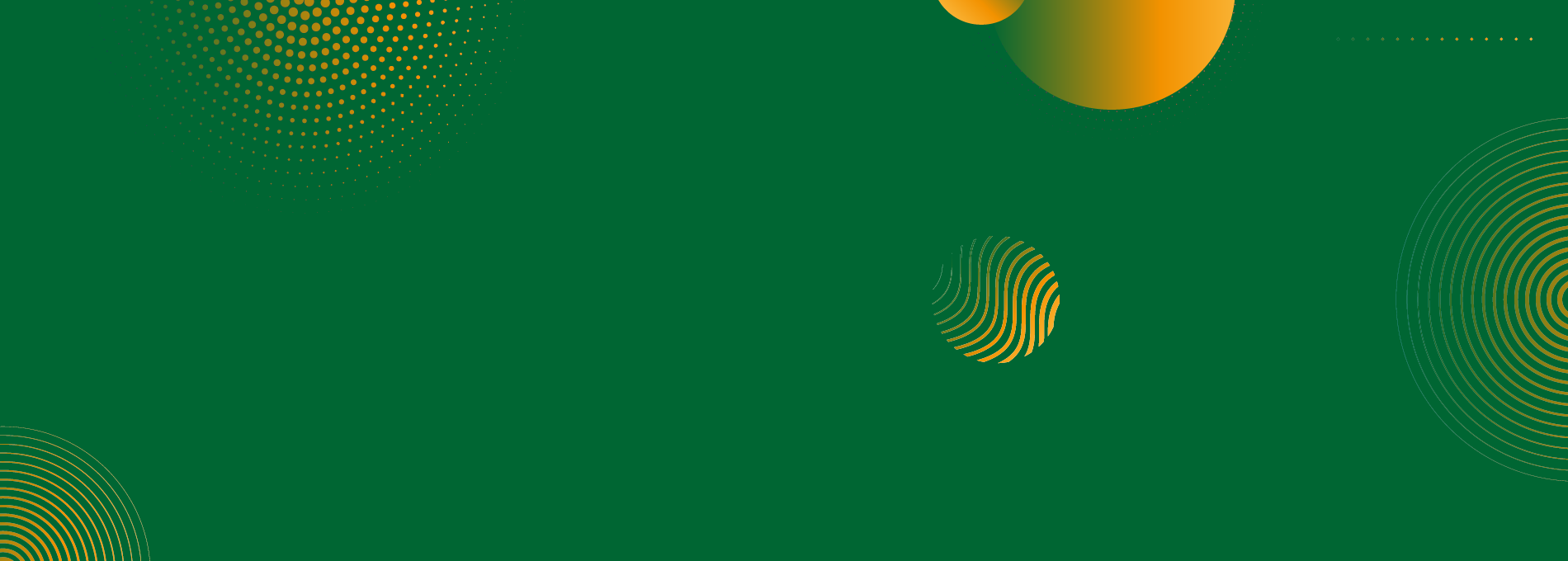 SNDI – Société Nationale de Développement Informatique